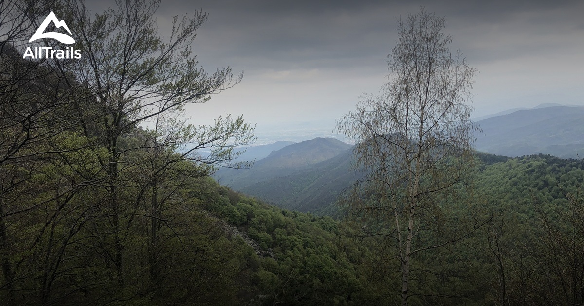 Monte Sette Confini - hikes and trails to get you there | AllTrails