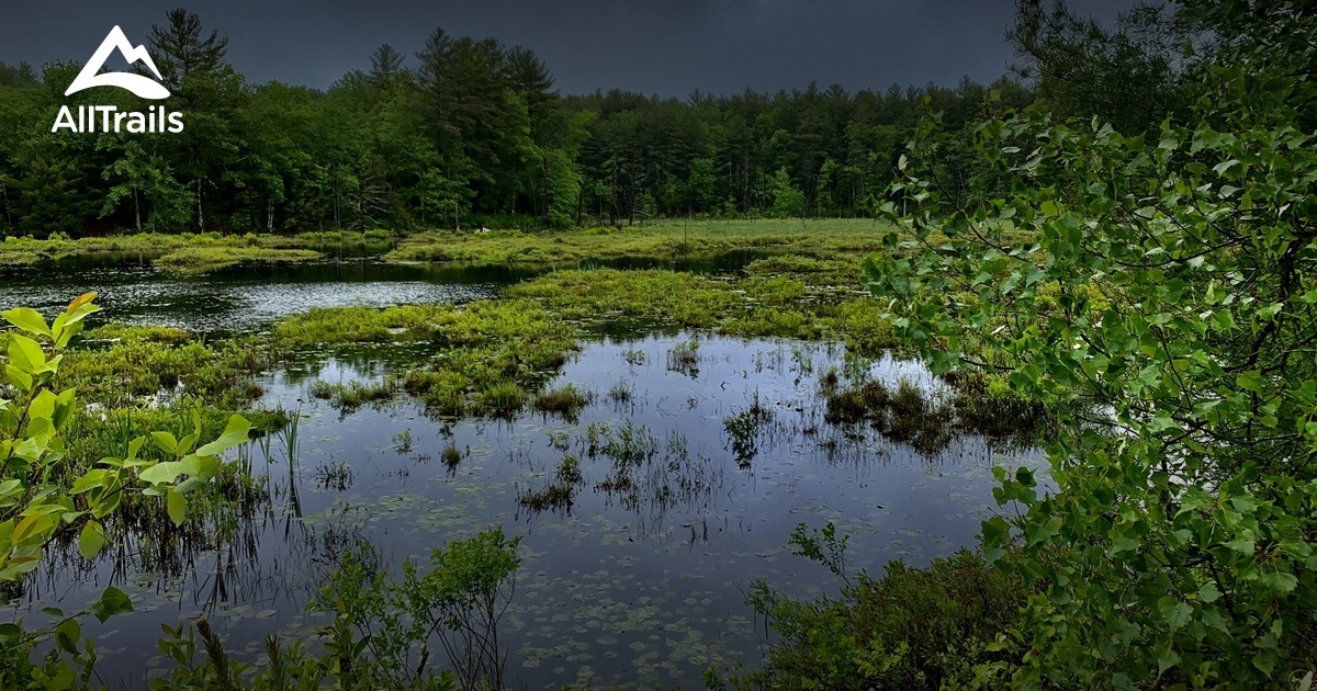 Wallum Pond Hill: Die besten Routen in der Umgebung | AllTrails