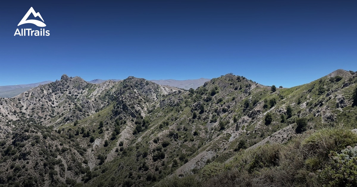 Picacho Alto - hikes and trails to get you there | AllTrails