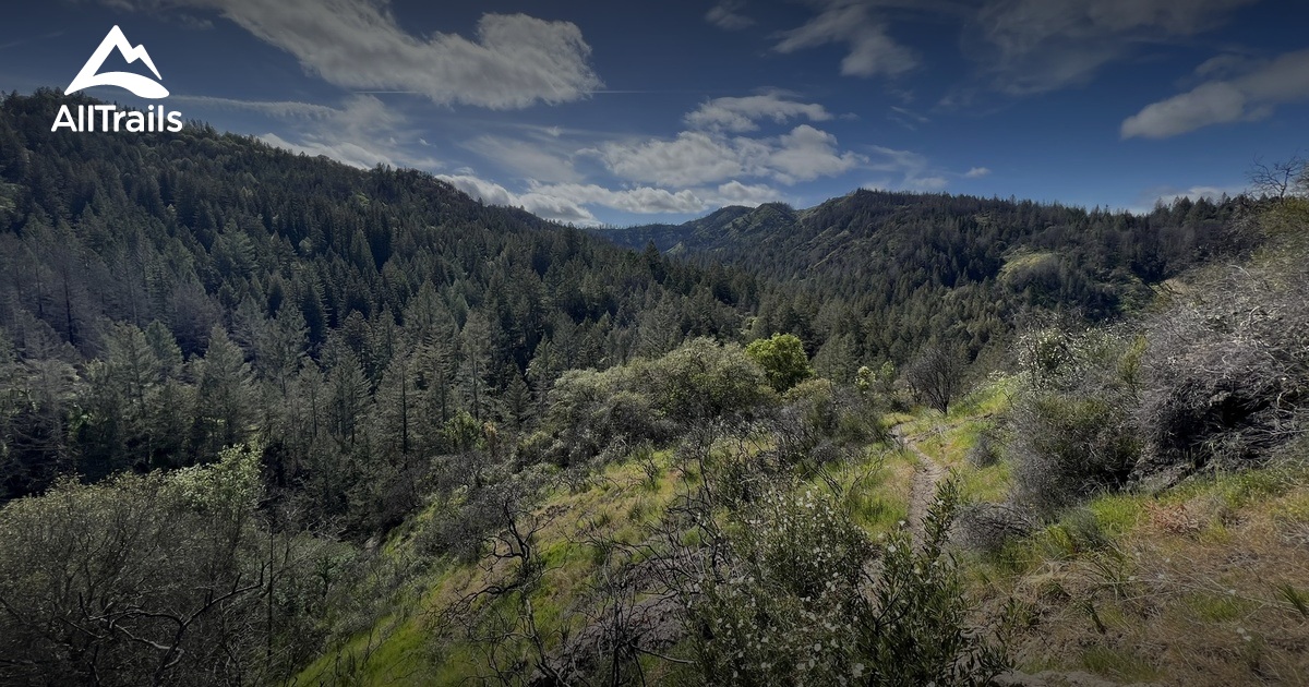 Coyote Peak - hikes and trails to get you there | AllTrails