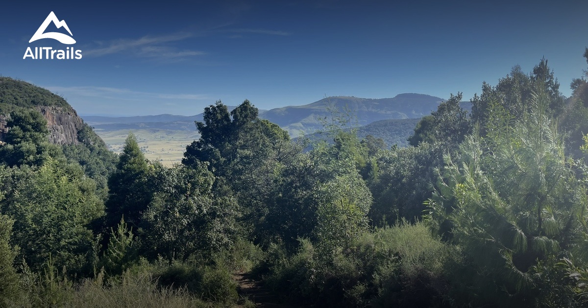 Madonna and Child Falls - hikes and trails to get you there | AllTrails