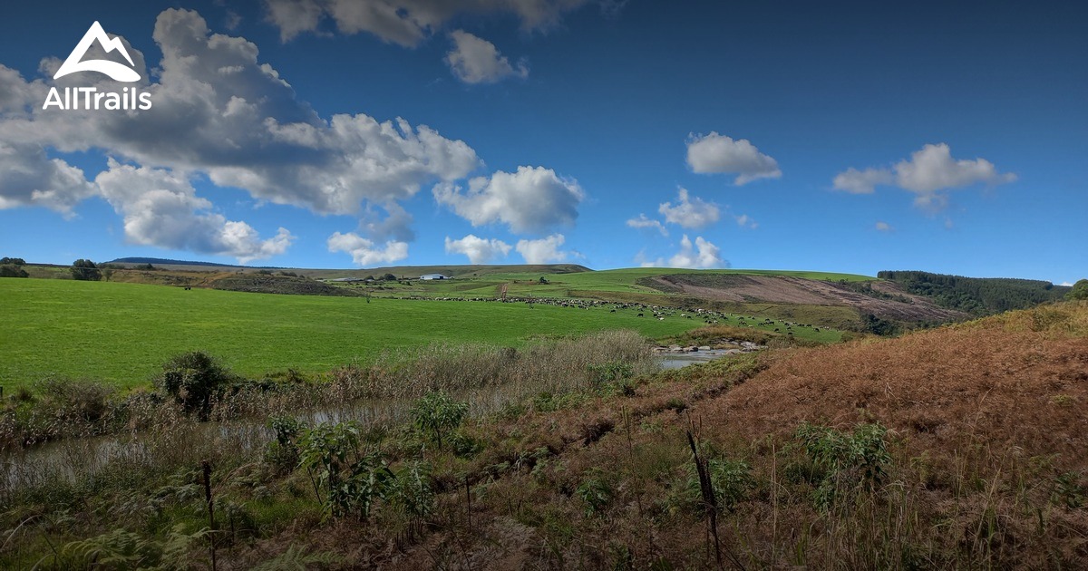 Karkloof Falls - hikes and trails to get you there | AllTrails