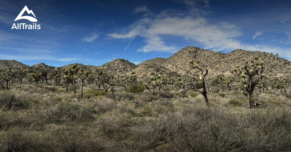 Warren Peak - hikes and trails to get you there | AllTrails