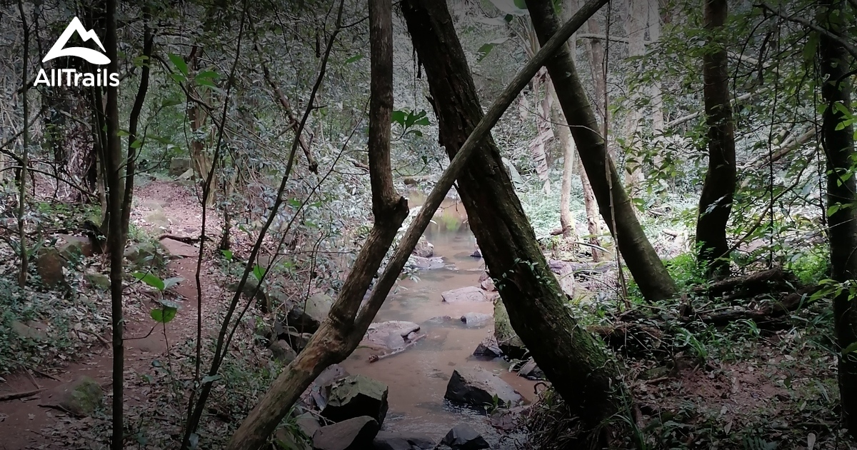 iNgungumbane Falls - hikes and trails to get you there | AllTrails