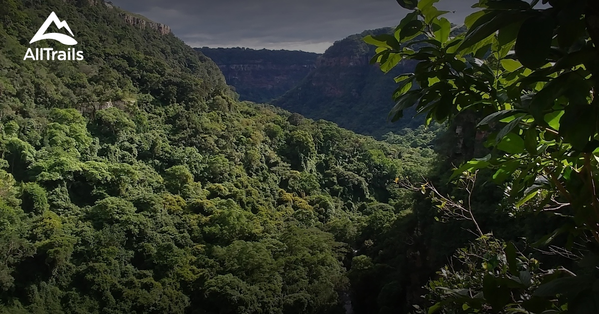 Las mejores rutas cerca de Ronaldskloof Falls en 2023 | AllTrails