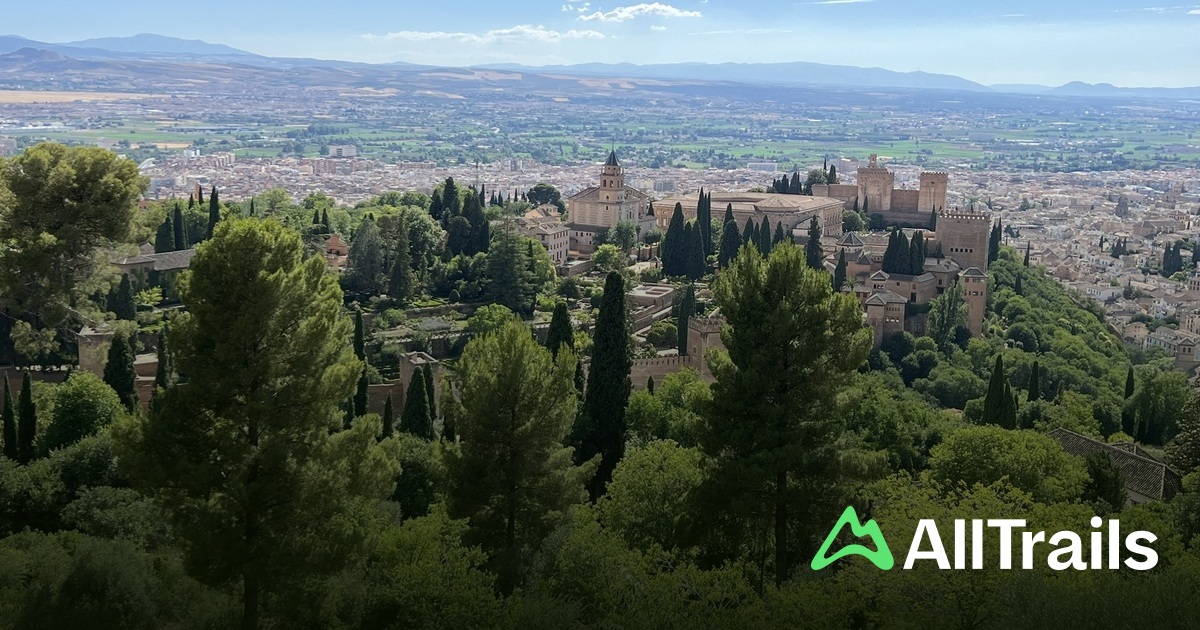 Los 10 mejores senderos cerca de Flamenco La Alborea | AllTrails