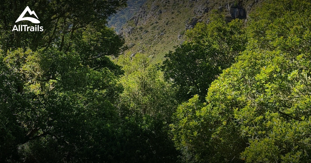 Skeleton Waterfall - hikes and trails to get you there | AllTrails