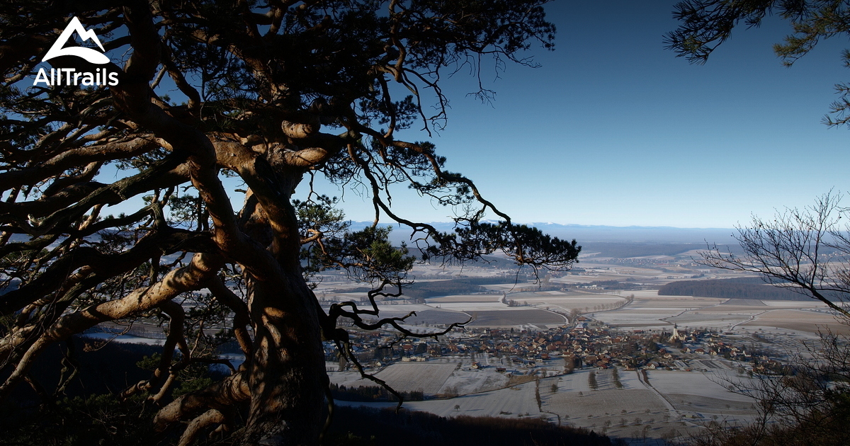 Best Trails near Remel | AllTrails