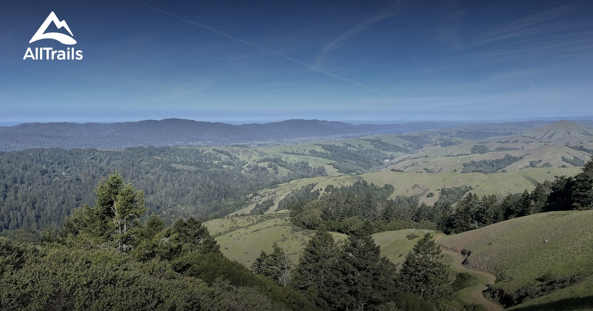 Barnabe Mountain - hikes and trails to get you there | AllTrails