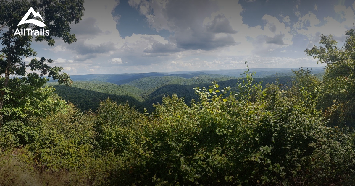 Meadow Mountain - hikes and trails to get you there | AllTrails