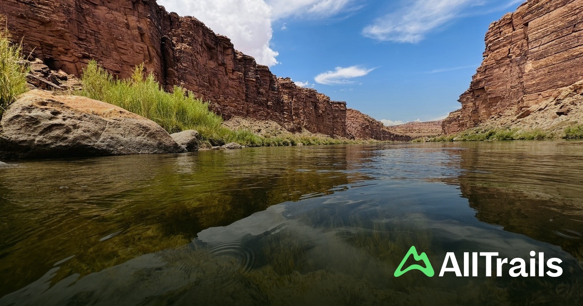 Marble Canyon - hikes and trails to get you there | AllTrails