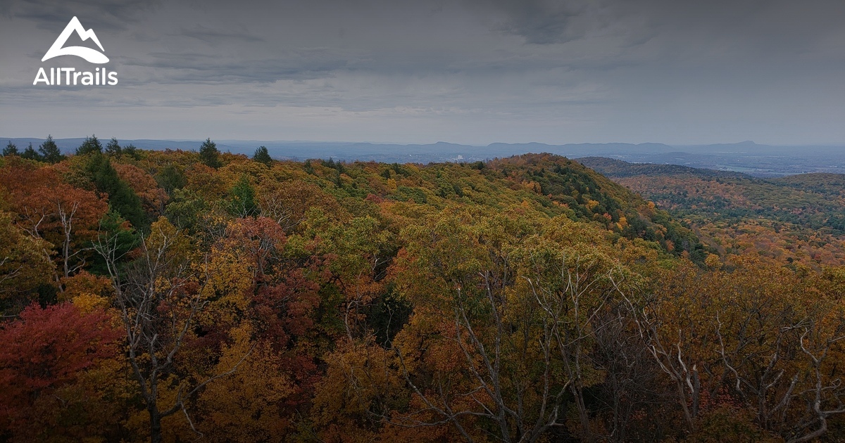 Roaring Mountain - hikes and trails to get you there | AllTrails