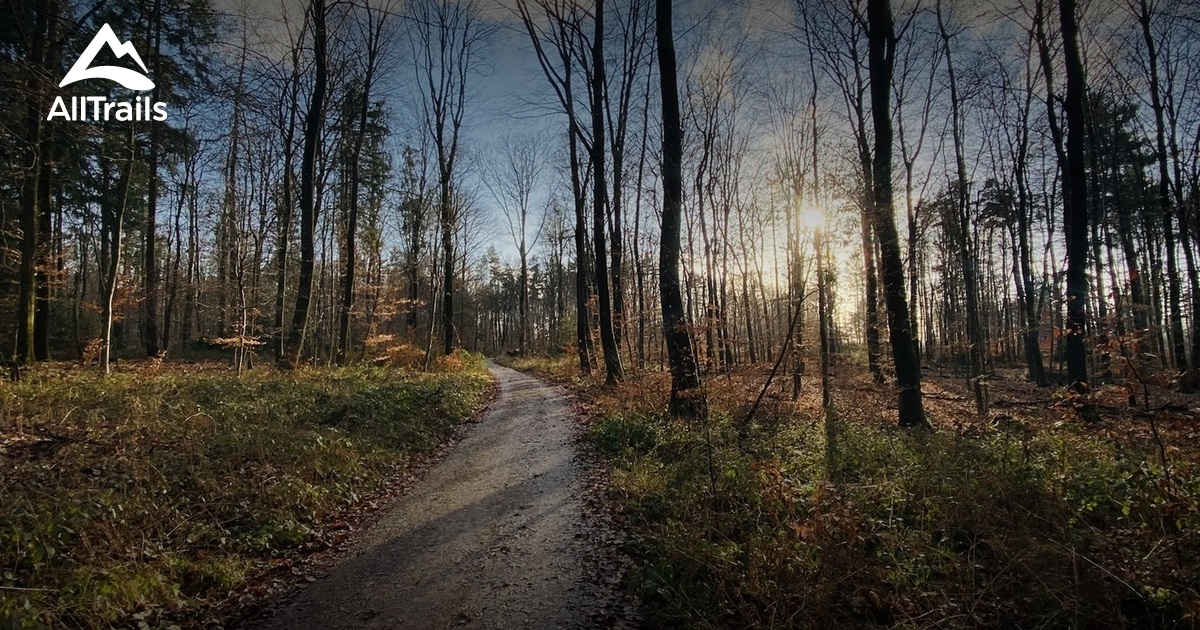 Los mejores senderos cerca de vorderer Weiherkopf | AllTrails