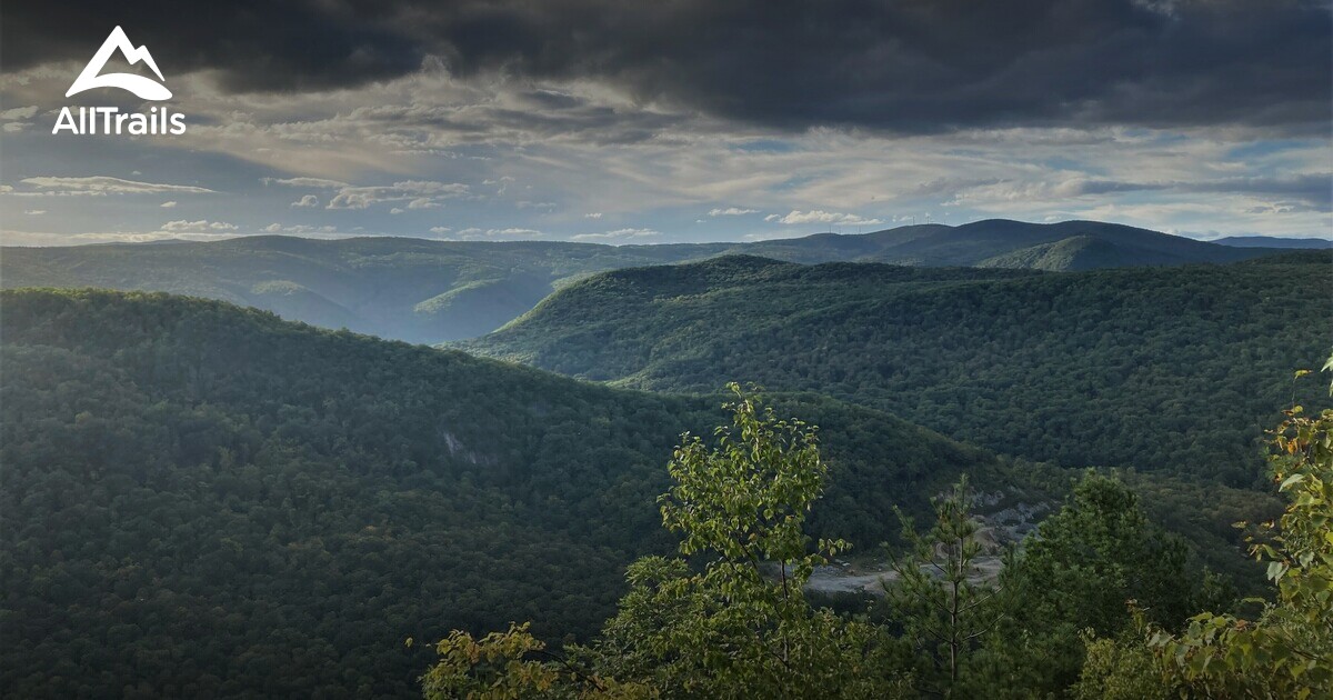 Negus Mountain - hikes and trails to get you there | AllTrails