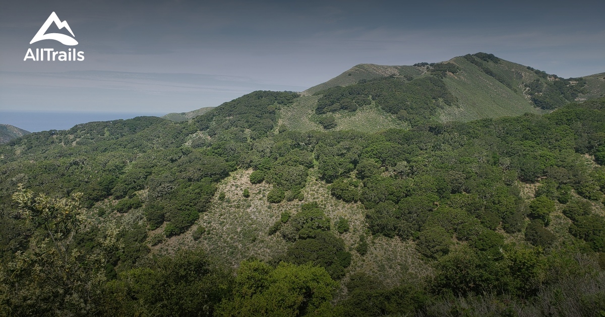 Oats Peak - hikes and trails to get you there | AllTrails