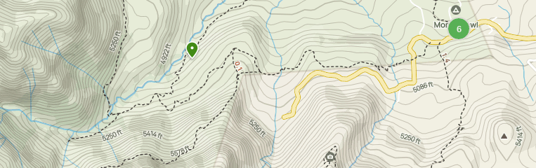 Los mejores senderos cerca de Nandi Falls | AllTrails