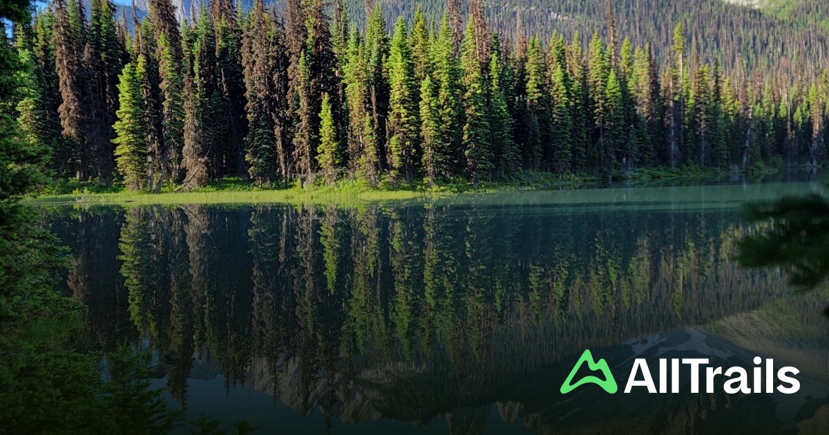 Lower Elk Lake Campground - hikes and trails to get you there | AllTrails