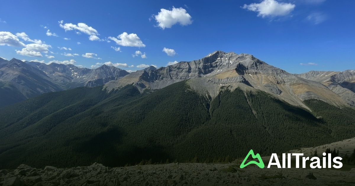 Miette Hot Springs - hikes and trails to get you there | AllTrails