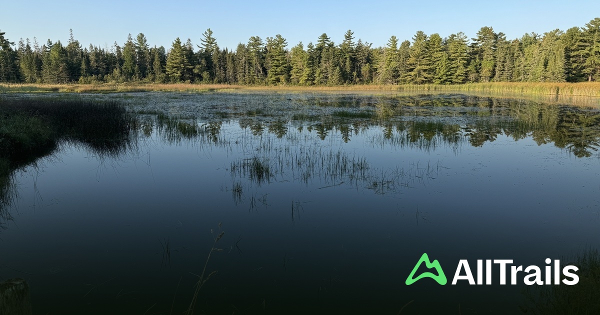 French Farm Lake - hikes and trails to get you there | AllTrails