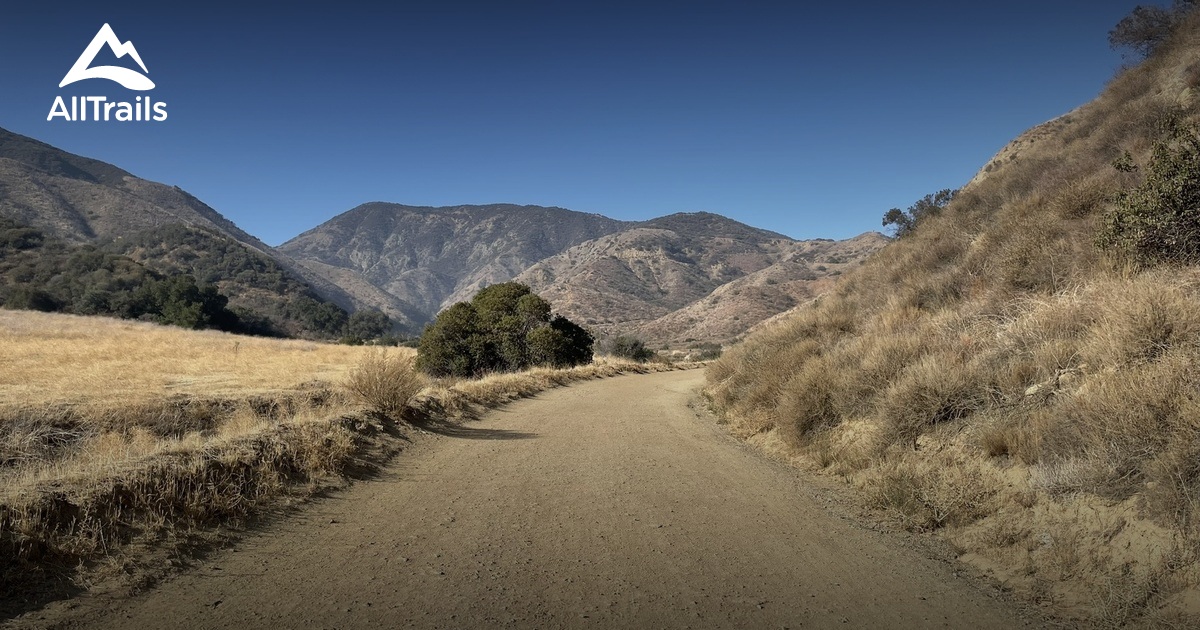 Bald Peak - hikes and trails to get you there | AllTrails