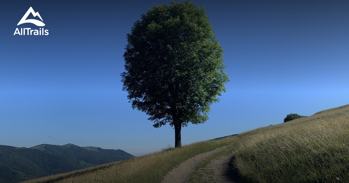 Malh des Bessons - hikes and trails to get you there | AllTrails