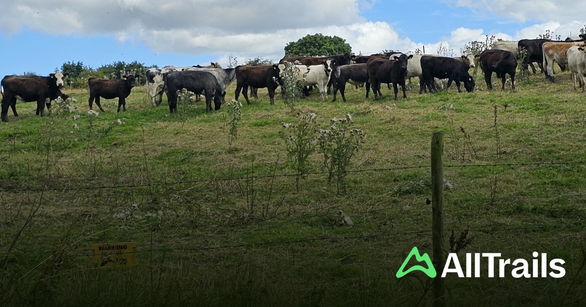 Coatham Mundeville medieval village - hikes and trails to get you there ...