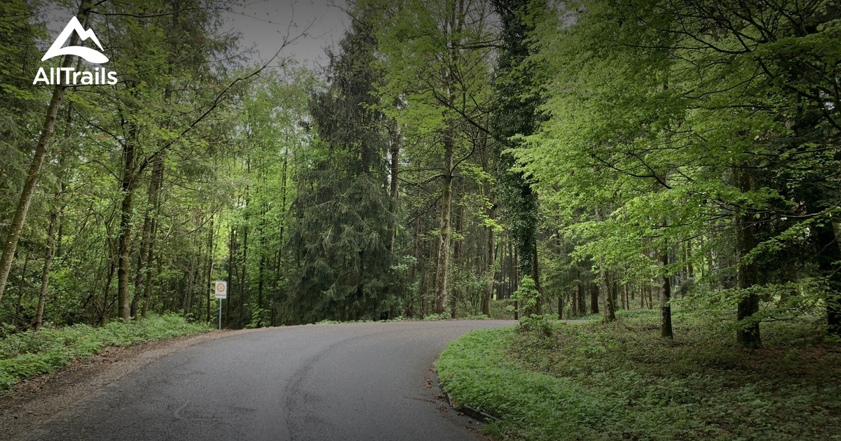 Rooterberg: Die besten Routen in der Umgebung | AllTrails