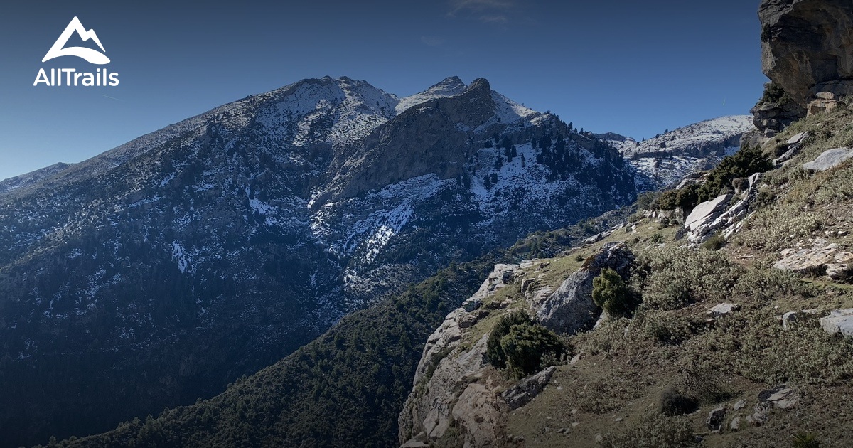 Cerro del Chaparral - hikes and trails to get you there | AllTrails