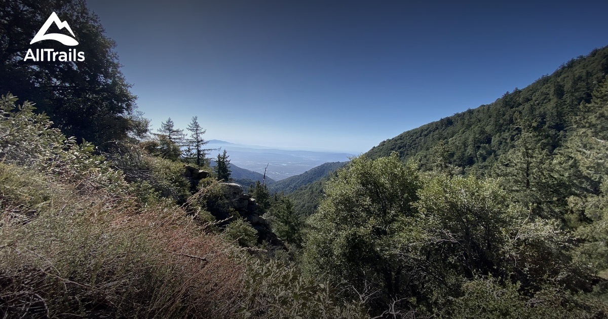 Mount Wilson - hikes and trails to get you there | AllTrails