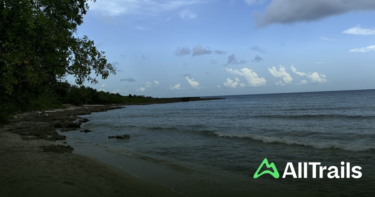 Corazón de Bayahíbe - hikes and trails to get you there | AllTrails