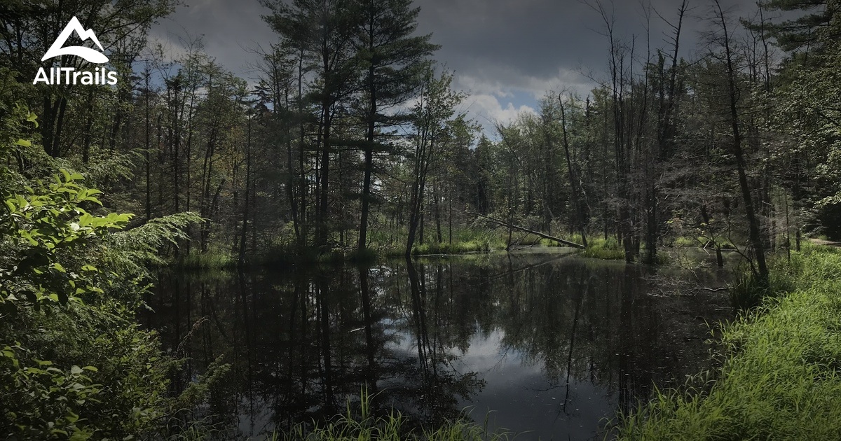 Mount Watatic - hikes and trails to get you there | AllTrails