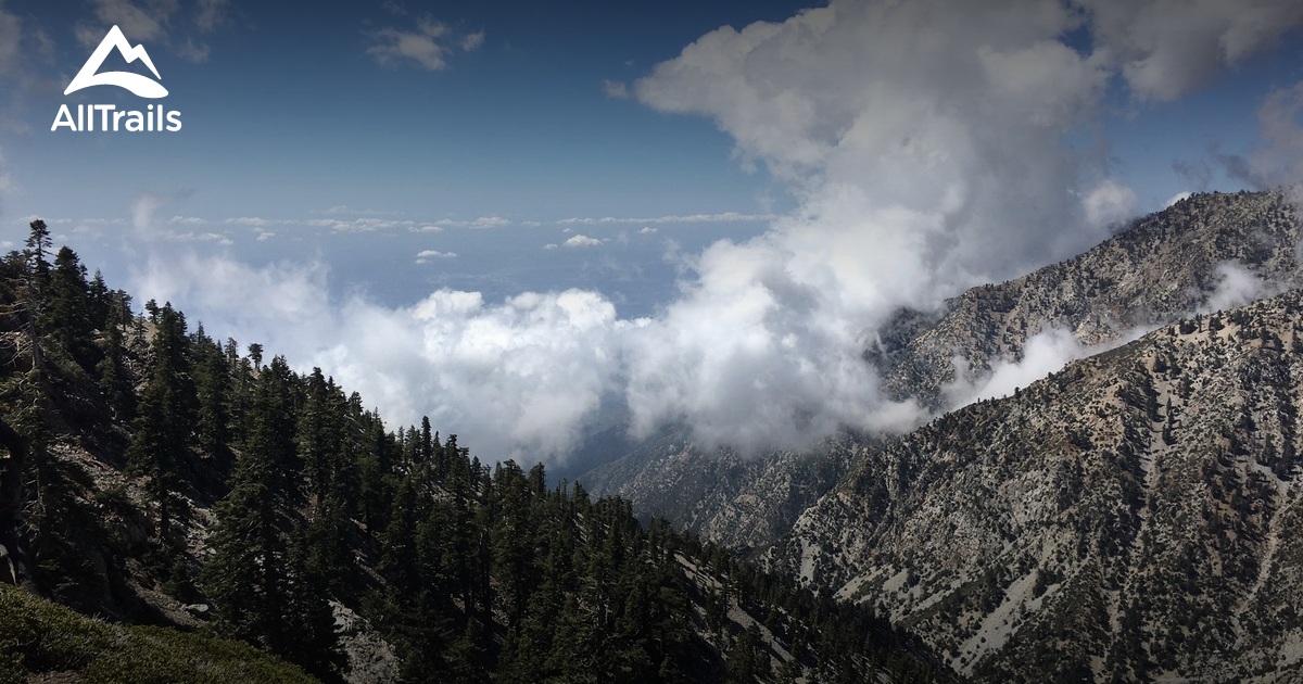 Cucamonga Peak - hikes and trails to get you there | AllTrails