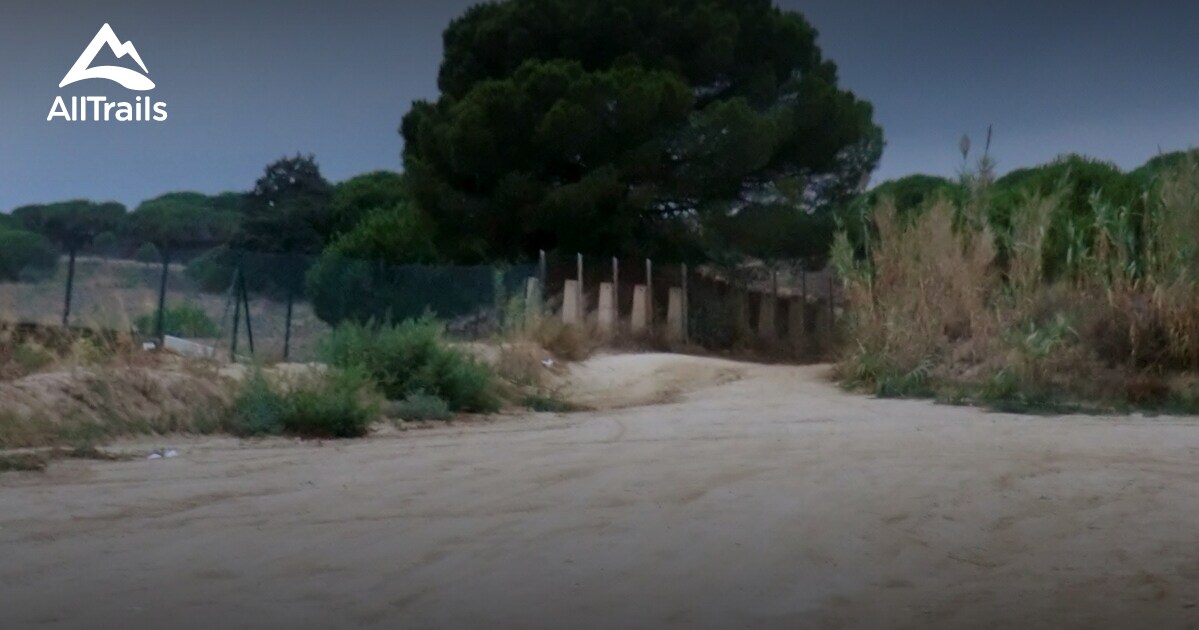 el Rovell de l'Ou - hikes and trails to get you there | AllTrails