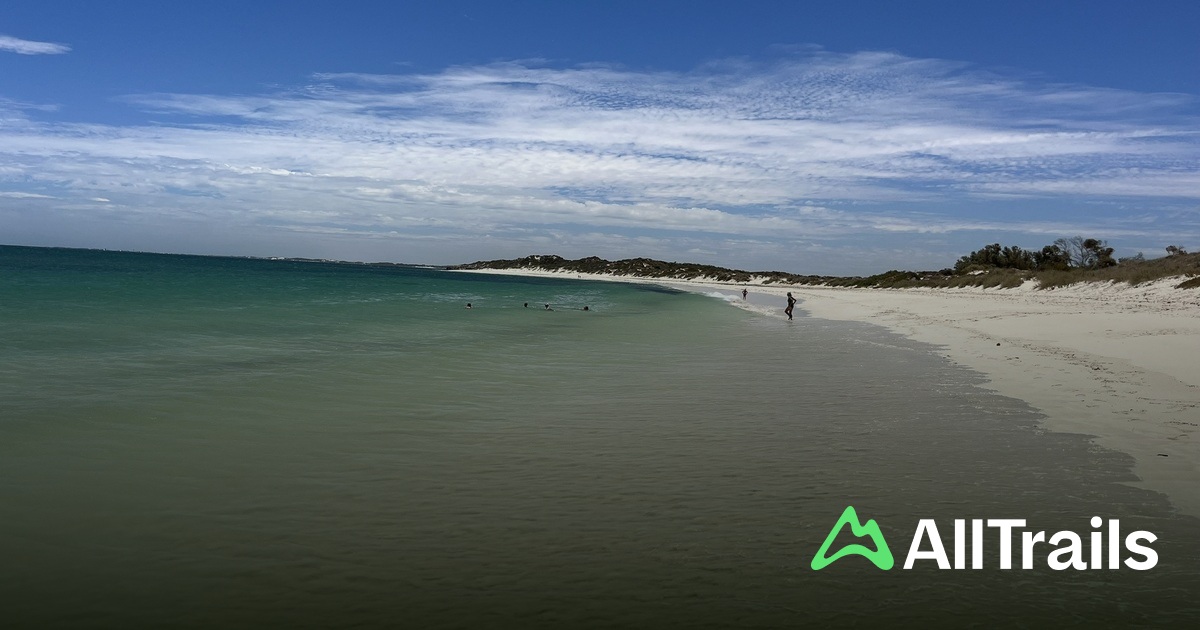 Sandy Cape - hikes and trails to get you there | AllTrails