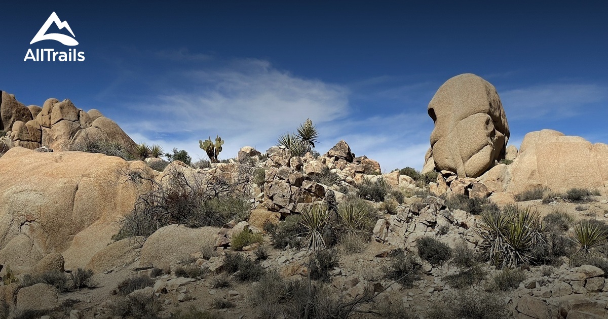 Jumbo Rocks - hikes and trails to get you there | AllTrails