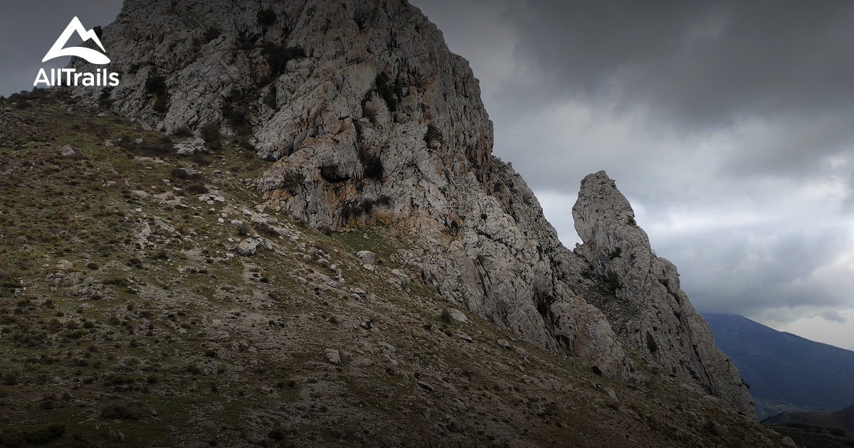 Pico del Puerto - hikes and trails to get you there | AllTrails