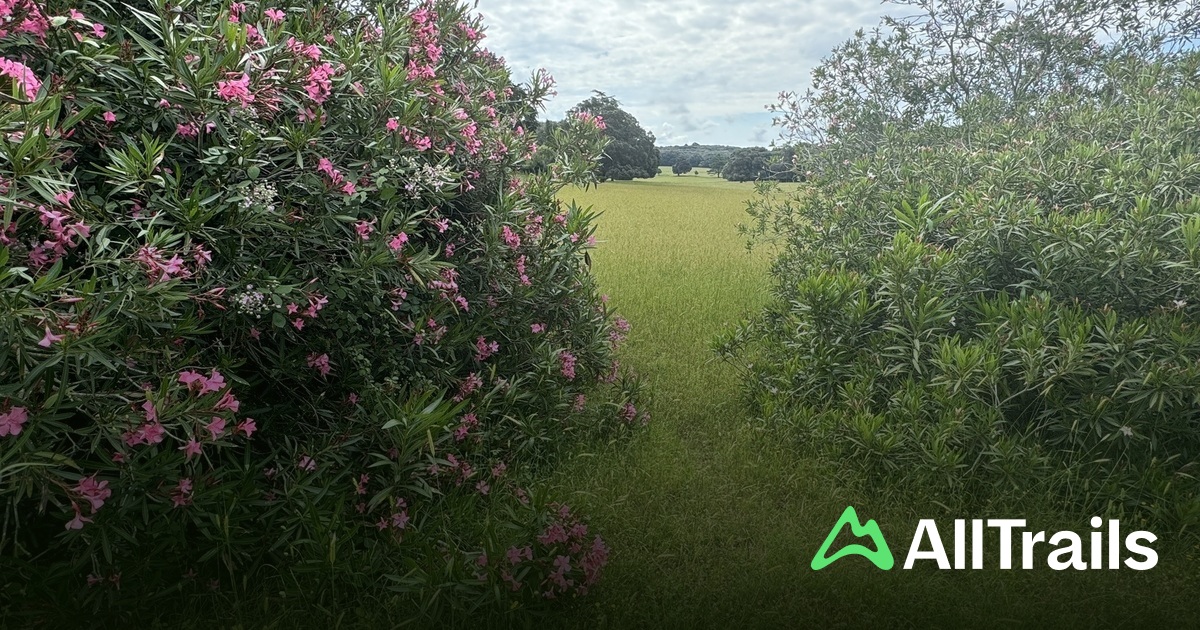 Jupiter Beach - hikes and trails to get you there | AllTrails