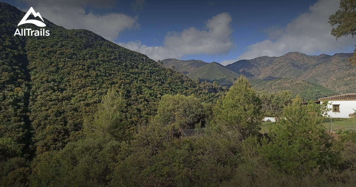 Barranco Blanco Falls - hikes and trails to get you there | AllTrails