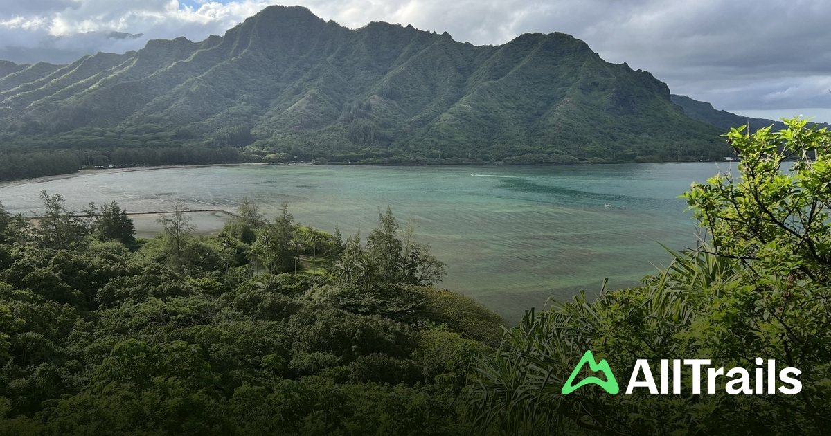 Swanzy Beach - hikes and trails to get you there | AllTrails