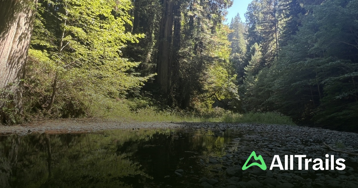 Big Trees Day Use Area - hikes and trails to get you there | AllTrails