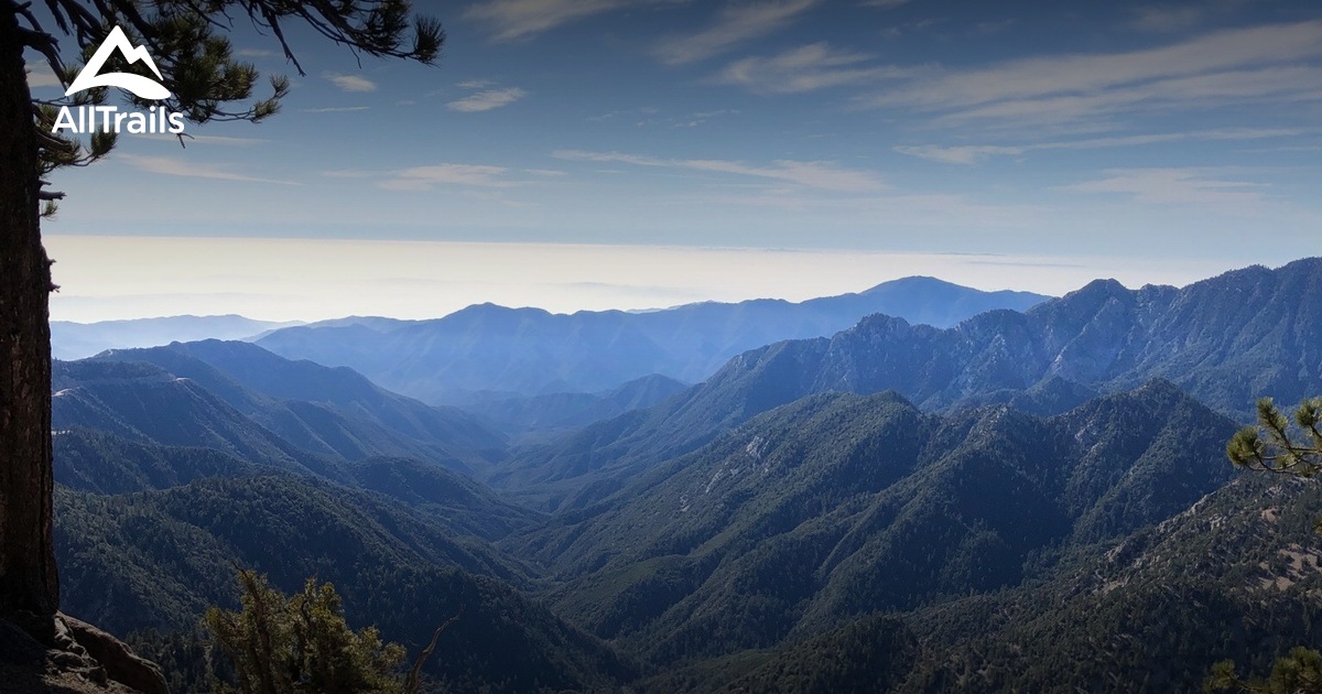 Pallett Mountain - hikes and trails to get you there | AllTrails