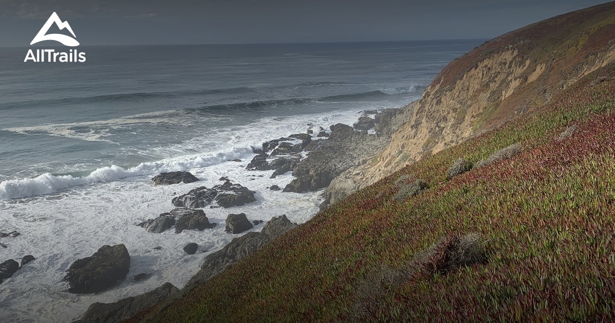 Bodega Head: Die besten Routen in der Umgebung | AllTrails