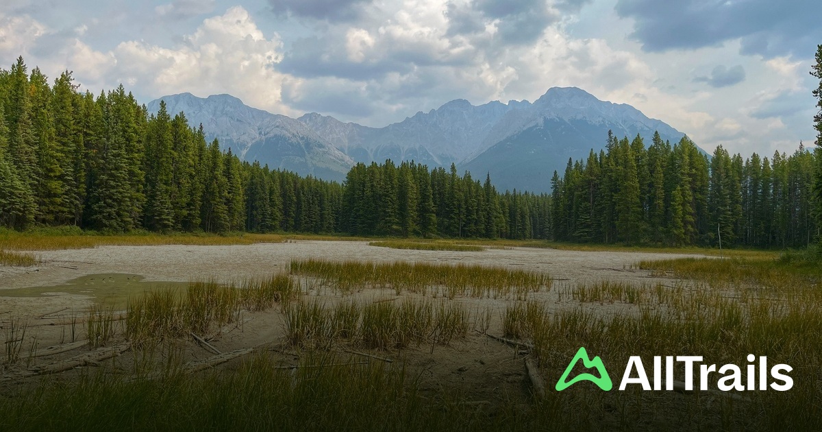 Mount Sarrail Campground - hikes and trails to get you there | AllTrails