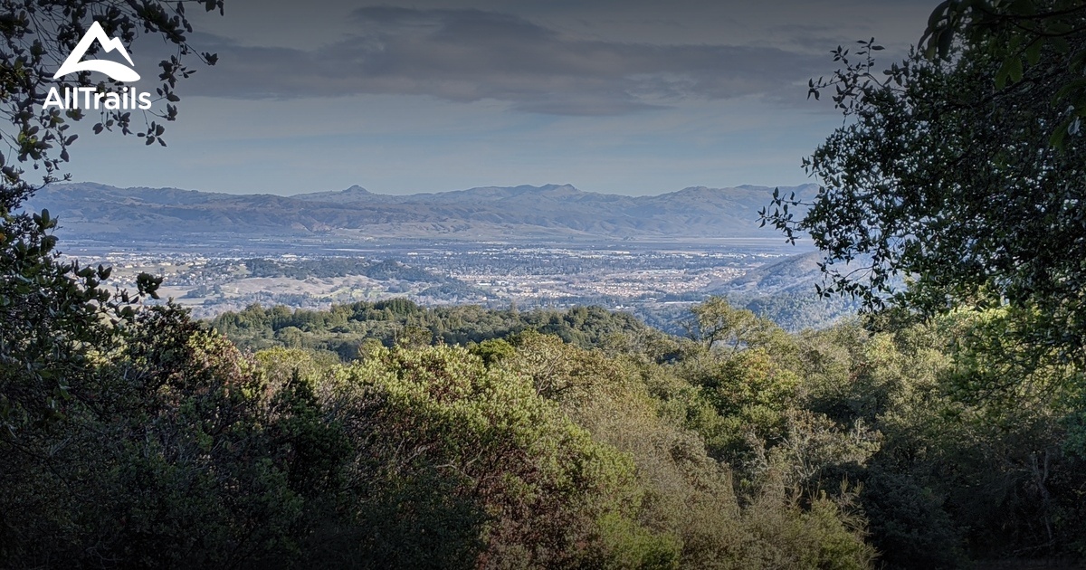 Mount Madonna - hikes and trails to get you there | AllTrails