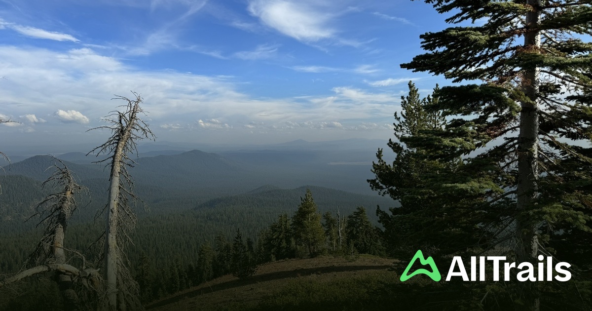 Vidae Cliff: Die besten Routen in der Umgebung | AllTrails