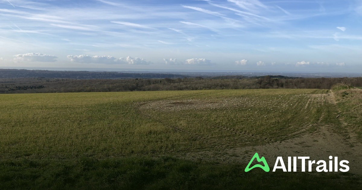 Heyshott Down Round Barrow Cemetery. - hikes and trails to get you ...