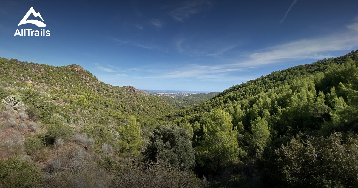 Muntanya de la Cova de Brauli - hikes and trails to get you there ...