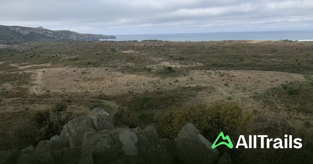 Victory Beach - hikes and trails to get you there | AllTrails