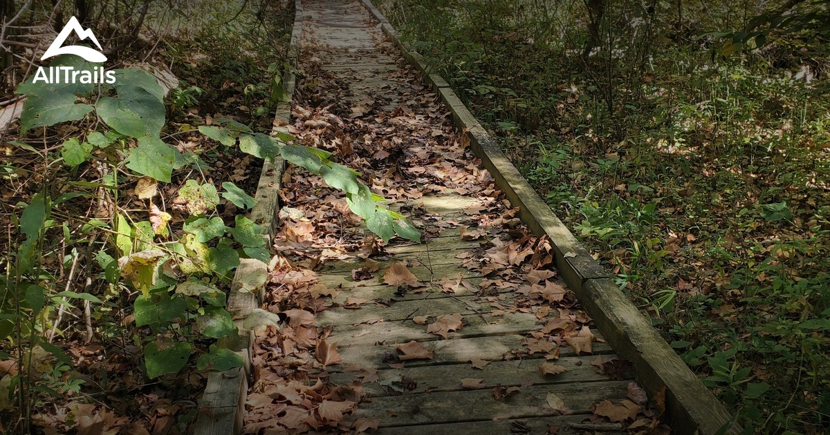 Wolf Pen Hollow Waterfall - hikes and trails to get you there | AllTrails