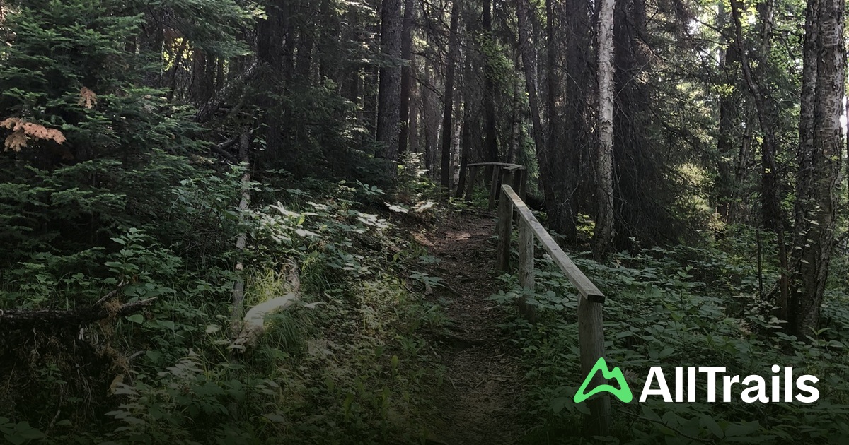 Reeves Lake - hikes and trails to get you there | AllTrails